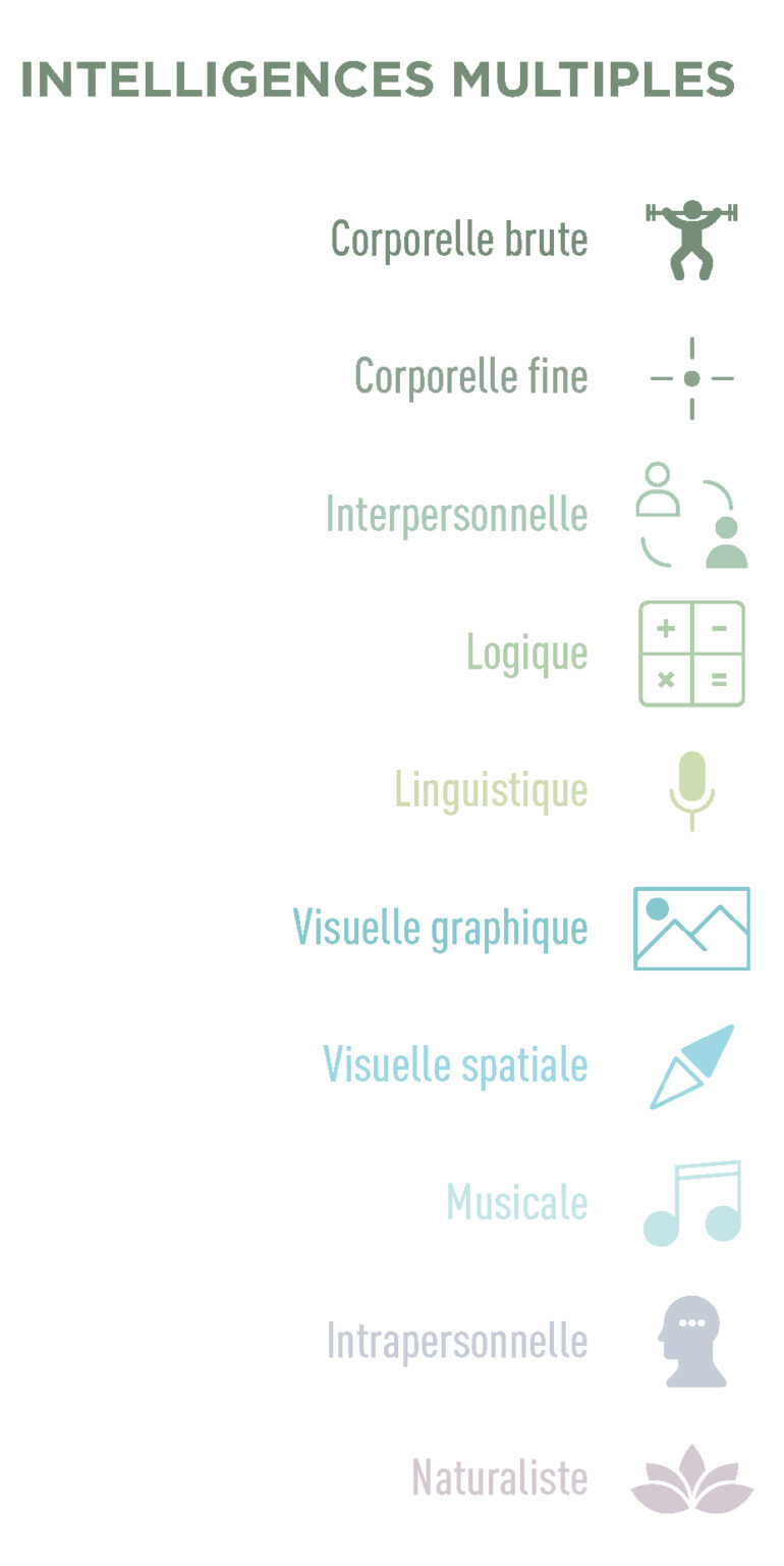 Le MN Test - test d'orientation professionnelle